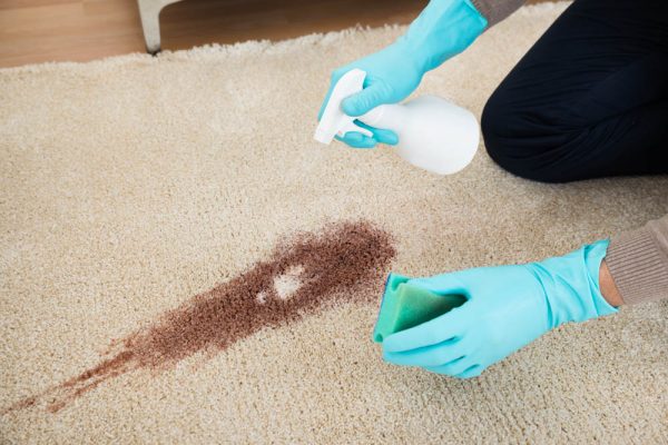 Common Types of Carpet Stains: Your Ultimate Guide to Stain Removal ...