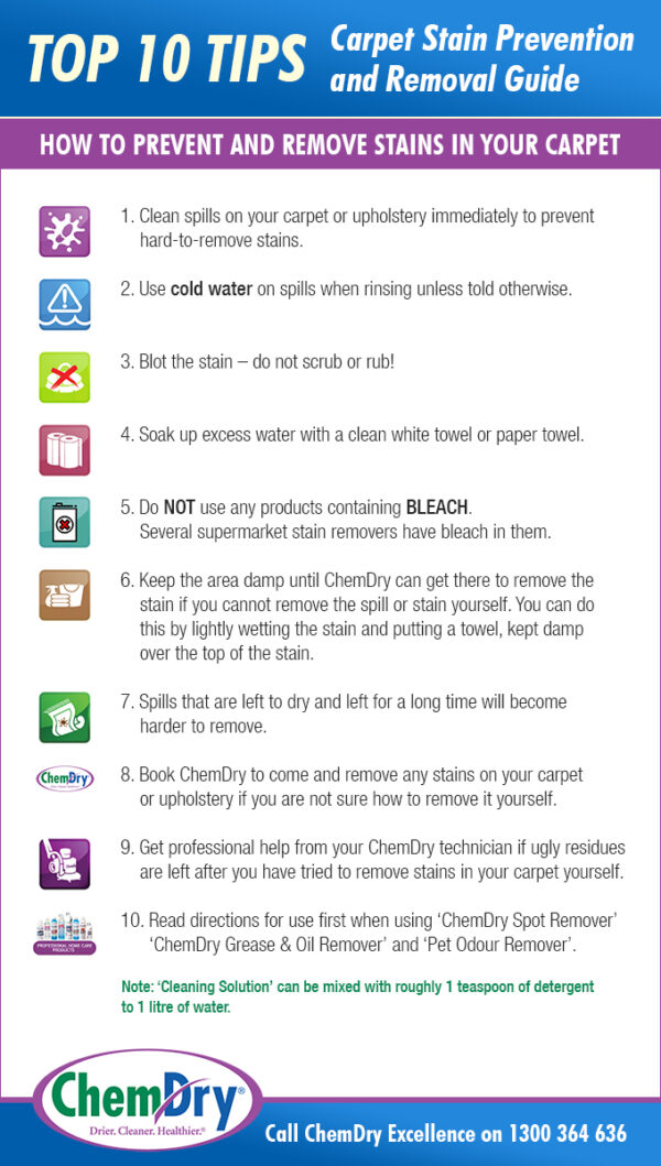 Carpet Stain Removal Ultimate Guide - Veteran Carpet and Tile Cleaning